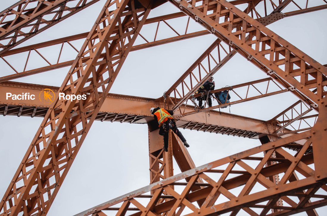Case Study: Bridge Inspection