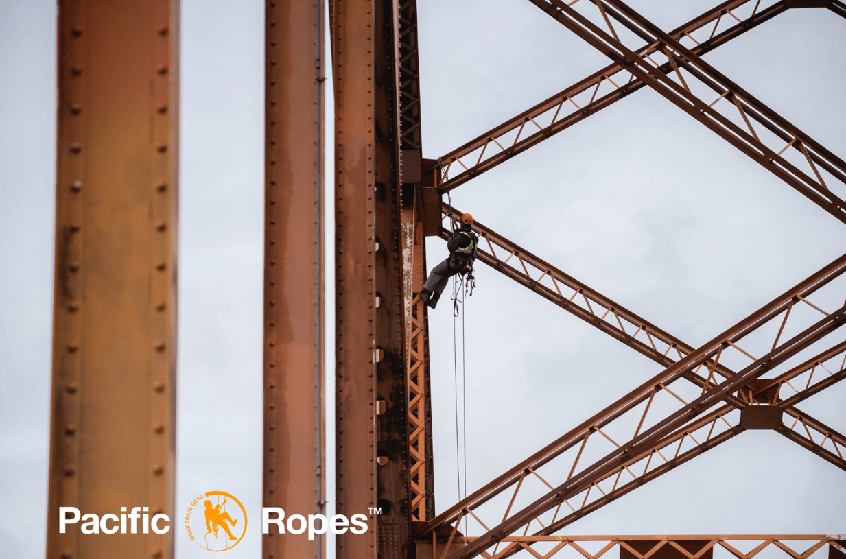 Case Study: Bridge Inspection